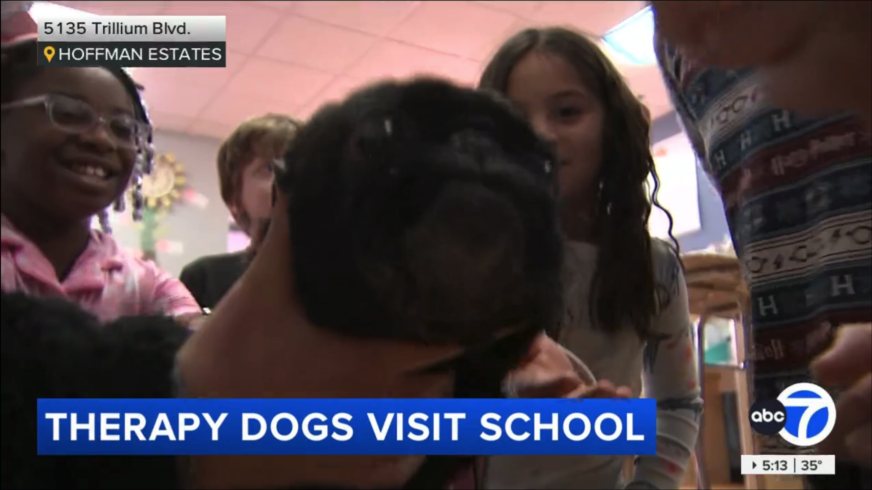 Therapy Dogs Bring Smiles to High Road School of Hoffman Estates | SESI ...