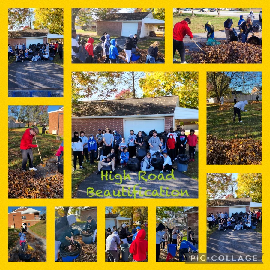 High Road School of York | SESI Schools